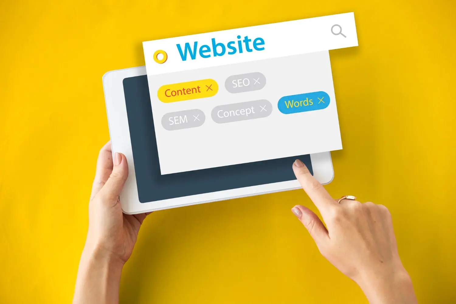 How To Add A Page To Menu In WordPress 